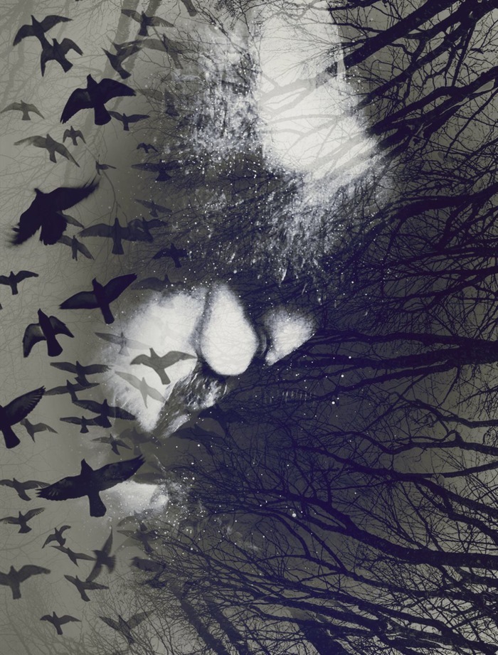 Todd Travis (Author of Creatures of Appetite)