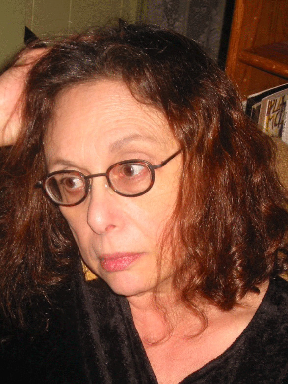 Diane Noomin (Author of Drawing Power)