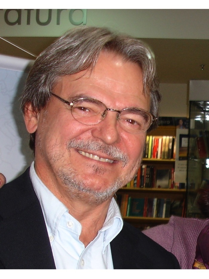 Fernando Lanzer (Author of Cruzando culturas sem ser atropelado)