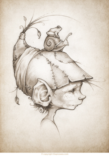The Picsees (Illustrator of Caitlin & her Fairy Keeper)
