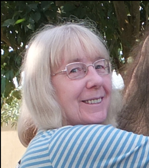 Cherith Baldry (Author of The Silver Horn)