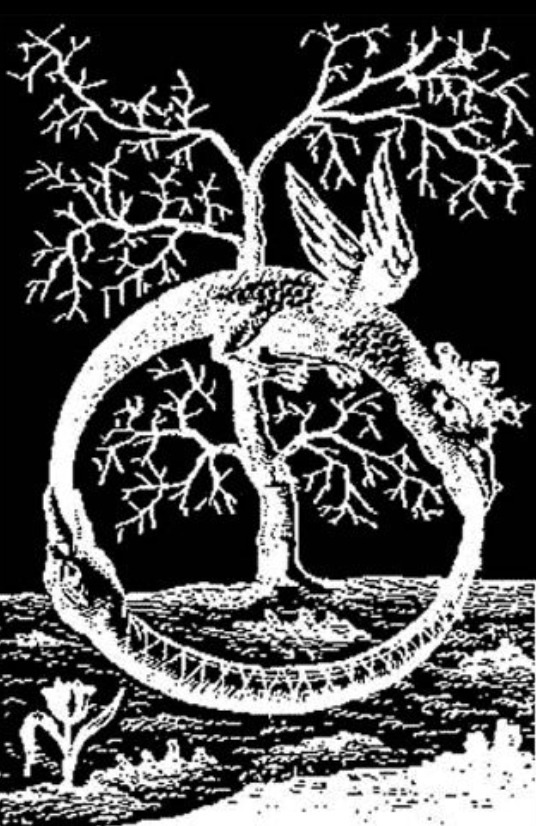 Boston Teran (Author of God Is a Bullet)