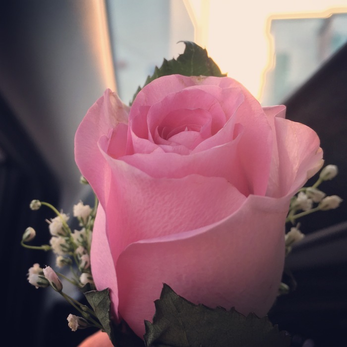 Rana Yehia Adham (Author of أنا أحلم بالجنة)