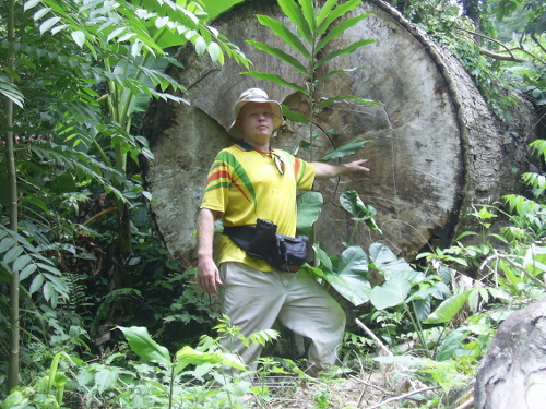 Ian Utley (Author of Ghana - Culture Smart!)