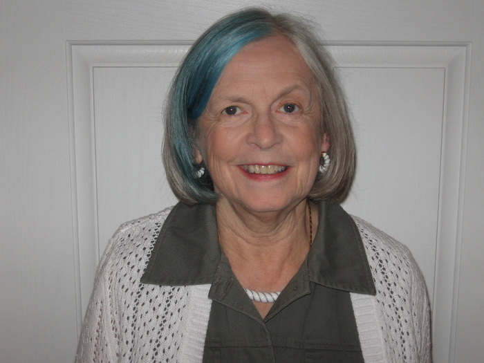 Susan M. Katz (Author of Writing Now with 2009 MLA and 2010 APA Updates)