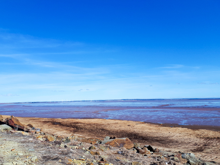 Dan Carr (Author of New Horizons)