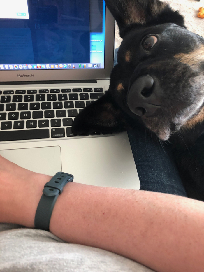 Pixie Unger (Author of Mistaken)