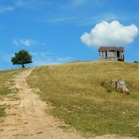 Judith Toy (Author of Murder As A Call to Love)