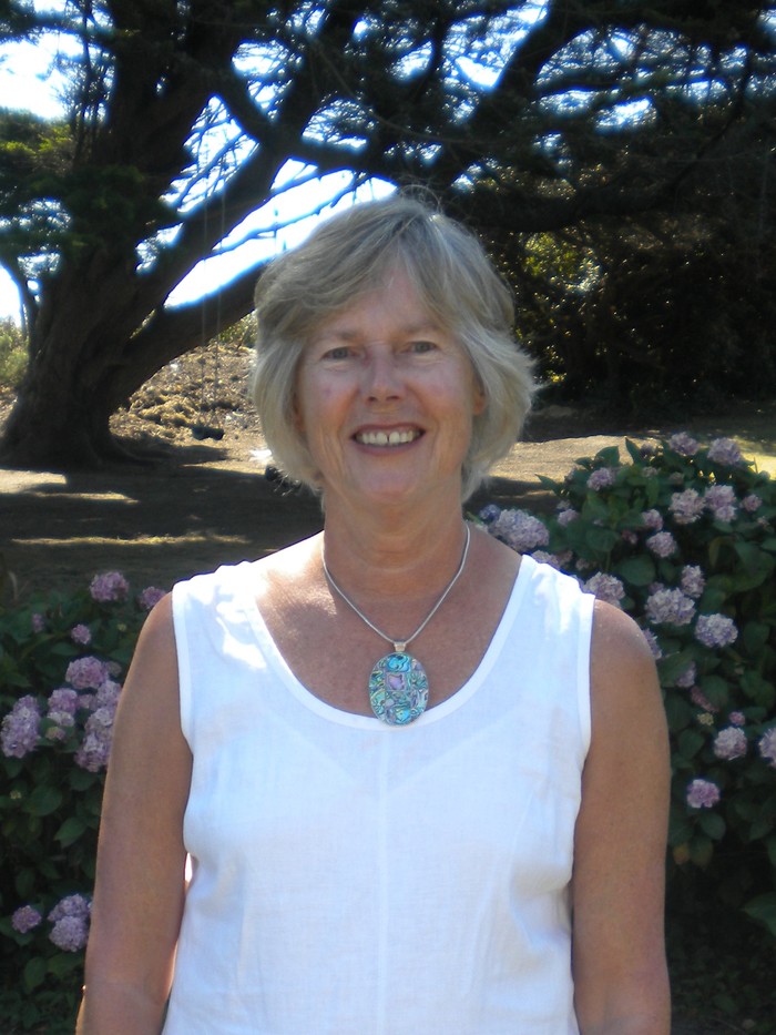 Jane Bean (Author of His Willing Marionettes)