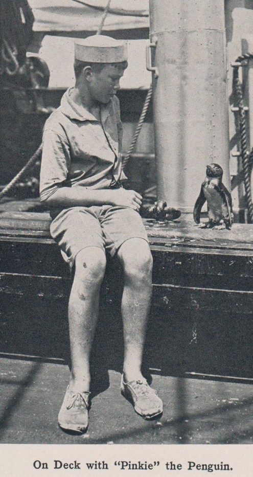 David Binney Putnam (Author of David Goes to Greenland)