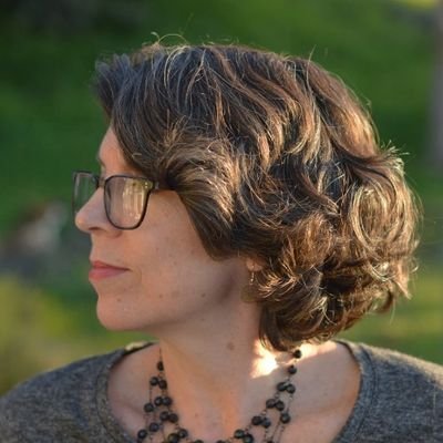 Suzy Turner (Author of Raven)