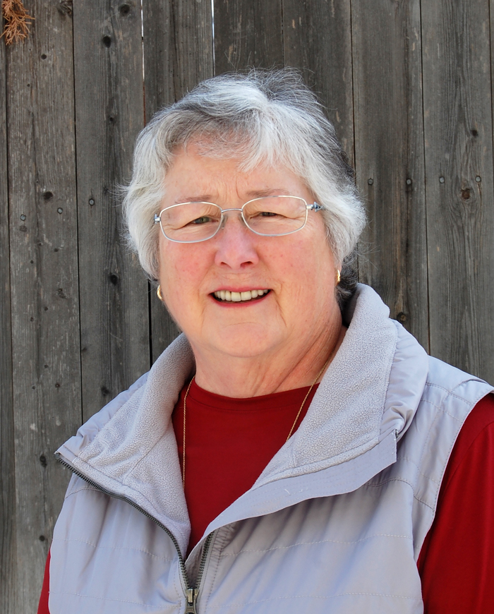 Jane Fulkerson (Author of The Aspen Grove)