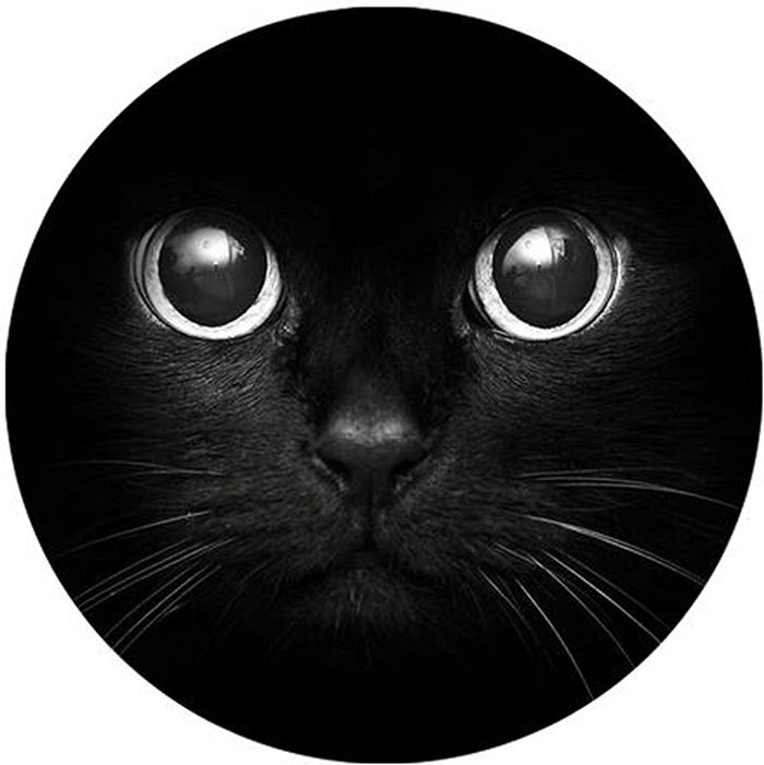 Alexandra Sinclair (Author of Puppet)