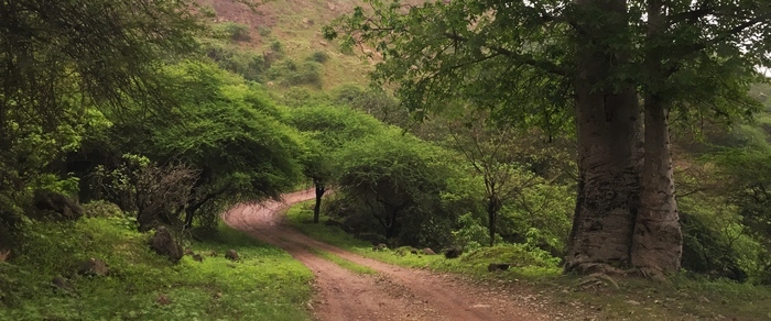 Marielle Risse (Author of Foodways in Southern Oman)