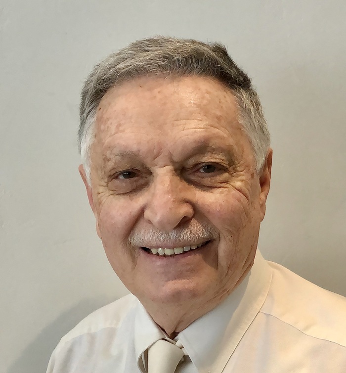 George Vasilca (Author of The Diamond Soul)