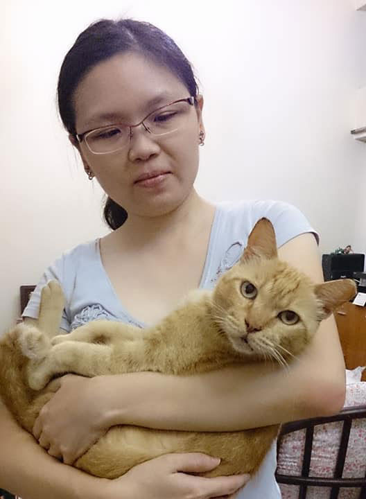 Yanzi Lin (Illustrator of Metal Men)