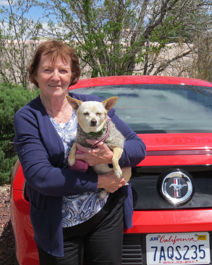 Annette Gray (Author of Journey Of The Heart)