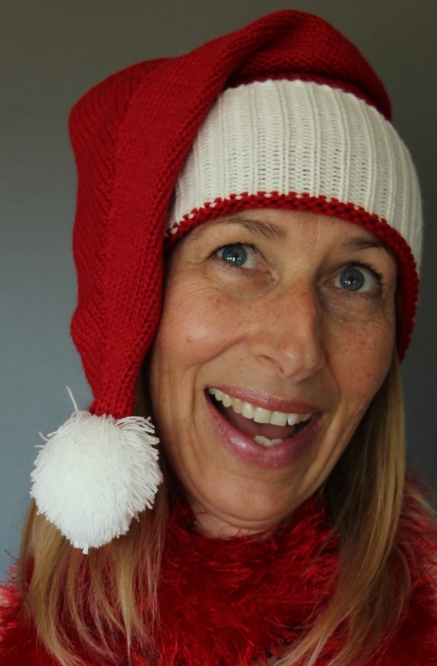 Shelley O'Brien (Author of The Spunky Caboodle and the Christmas Fadoodle)