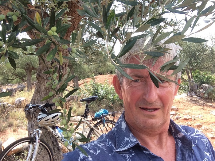 Matthew Ellis (Author of Life Cycle)