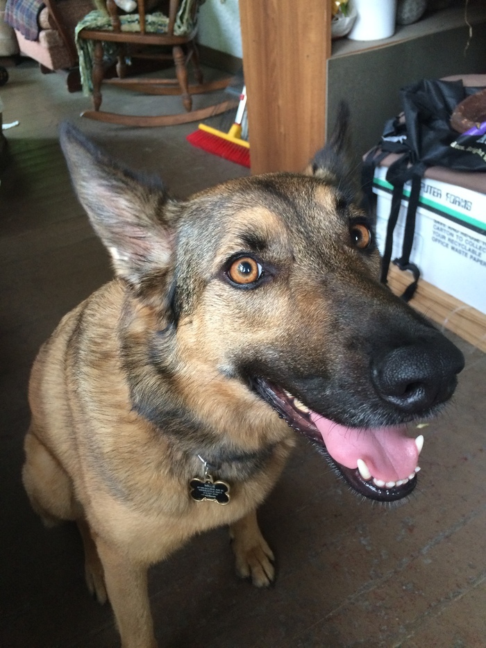 Brian Malloy (Author of The Year of Ice)