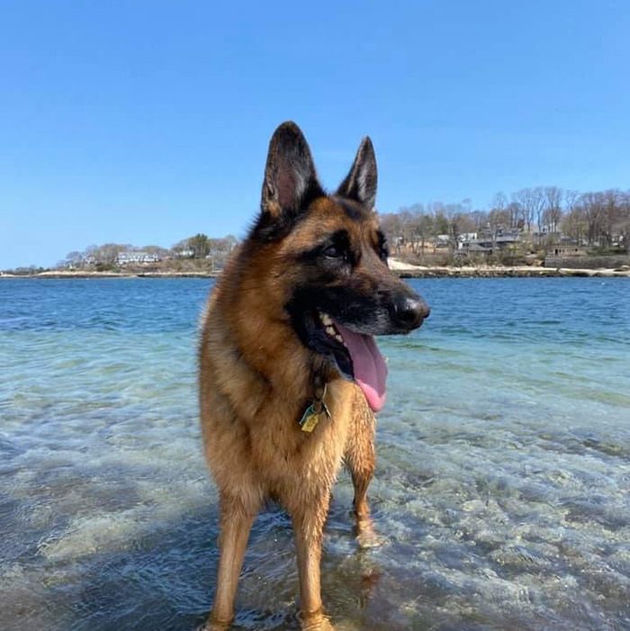 Kevin P. Gallagher (Author of The Dragon in the Room)