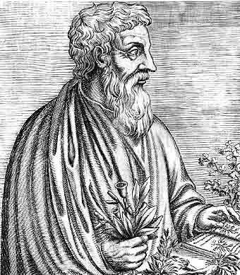 Pedanius Dioscorides (Author of Dioscorides)
