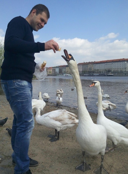 Mark Ari (Author of The Shoemaker's Tale)