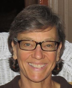 Ann Searle Horowitz (Author of Trident)