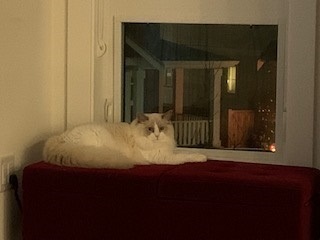 Tamara Larson (Author of Open House)