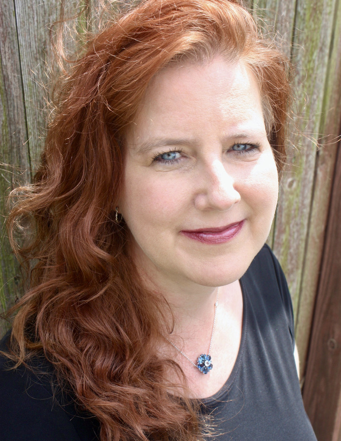 Lisa Harris (Author of Dangerous Passage)