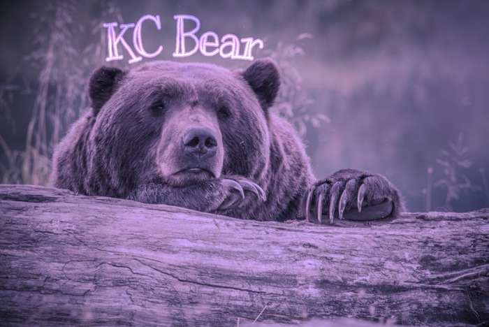 K.C. Bear (Author of Merry Christmas, Soldier)