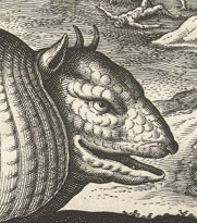 Eric Williams (Author of Toadstones)