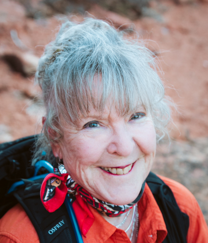 Shelly Pollock (Author of Lion Lights)