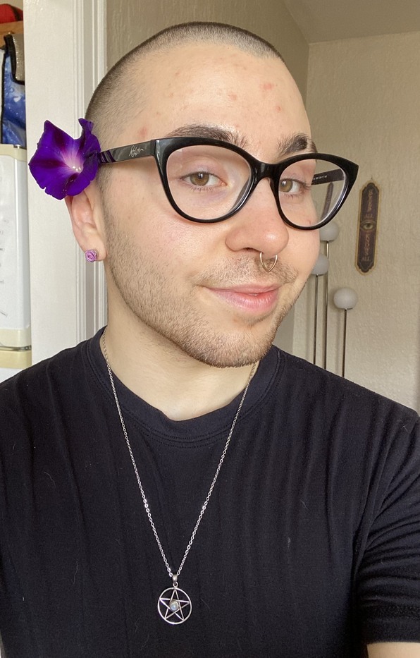 Robin Gow (Author of Dear Mothman)