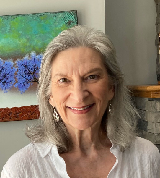 Ann Werner (Author of The Melt)