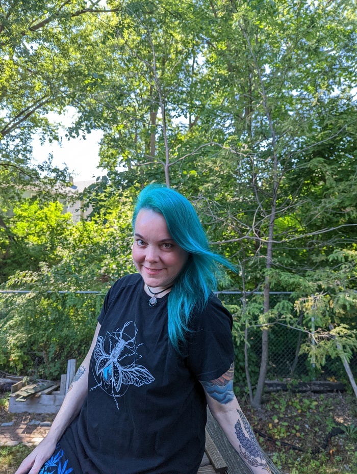 Christine Frost (Author of The Veiled Mirror)