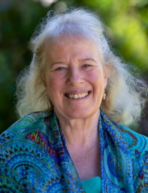 Jenny Rook (Author of The Book of the Sun)