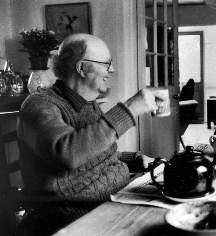 John Bayley (Author of Elegy for Iris)