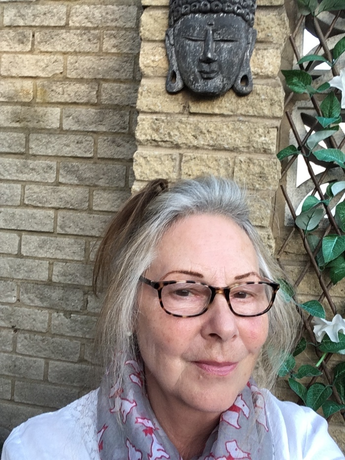 Julie Fearn (Author of Northern Pole)