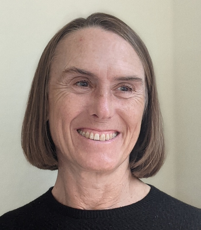 Debbie Romani (Author of Megan Gamble, Sing Out)