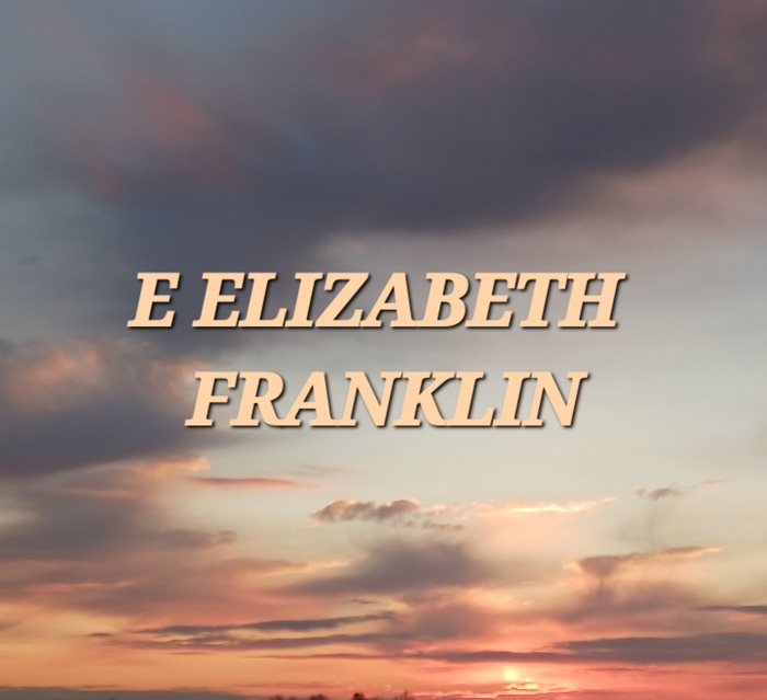 E. Elizabeth Franklin (Author of BABY MAKERS FIASCO)