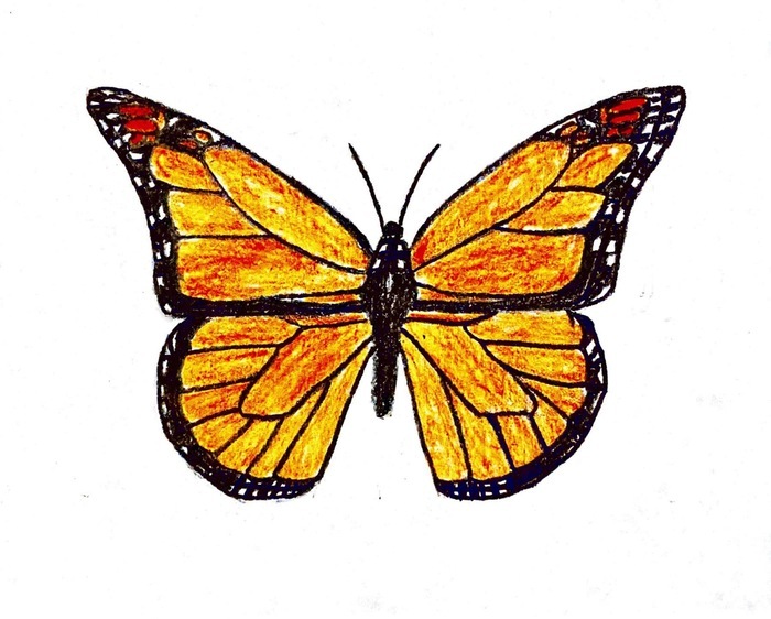 Thomas Freel (Author of Swallows)