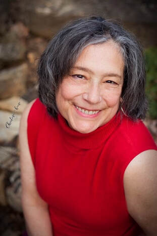 Susan Ring (Author of Polar Babies)