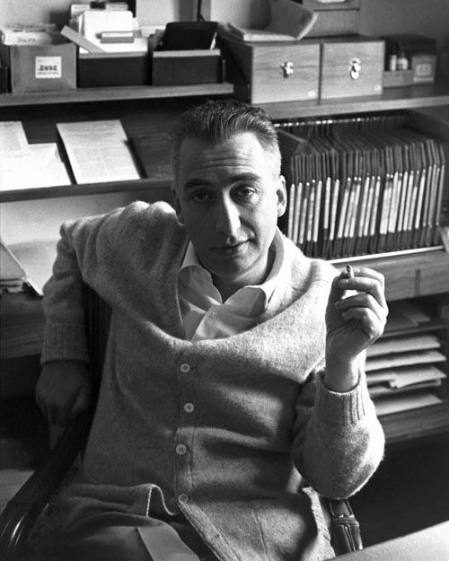 Roland Barthes (Author of Camera Lucida)