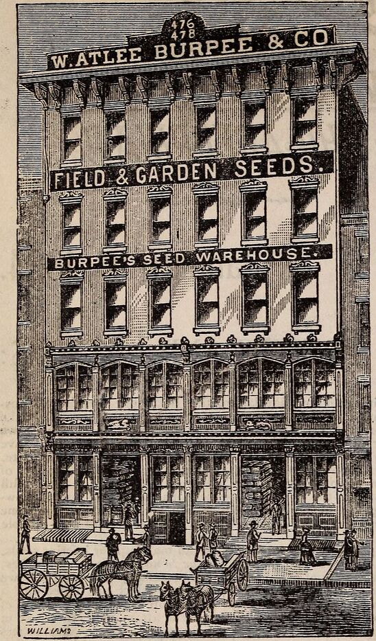 W. Atlee Burpee & Company (Author of Vegetables for the Home Garden)