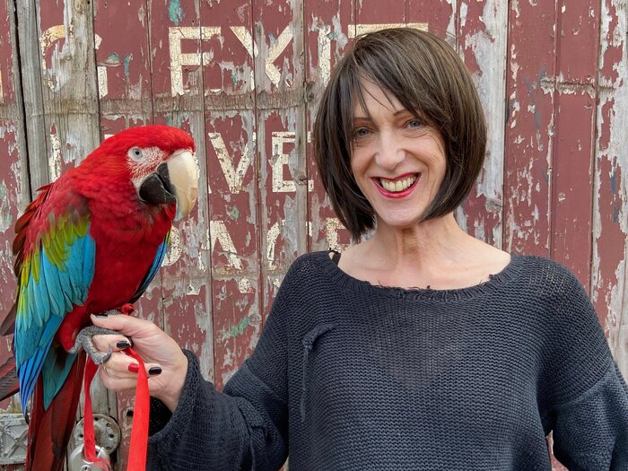 Steven Appleby (Author of Dragman)