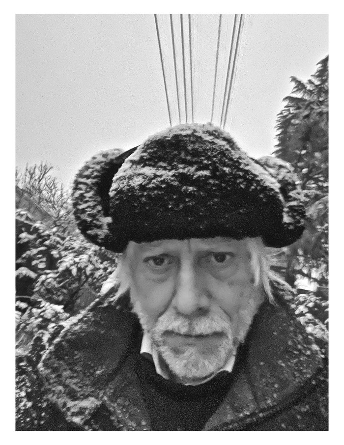 Dolly Gray Landon (Author of The At-Your-Beck Felicity Conveyor)