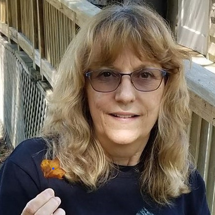 Jessica M. Broyles (Author of The Nested Charmer)