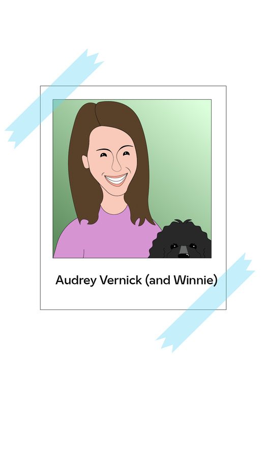Audrey Vernick (Author of Brothers at Bat)
