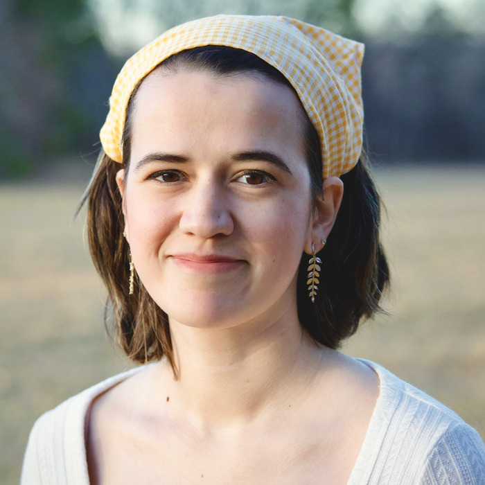 Lily B. Art (Author of The Light among the Shadows)